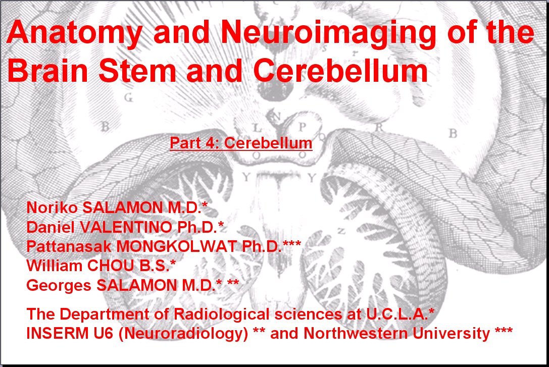 Salamons Neuroanatomy And Neurovasculature Web Atlas Resource